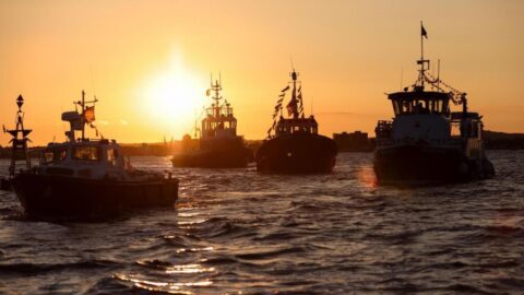 Poole Harbour Lights Cruise | Coastal Cruises Poole