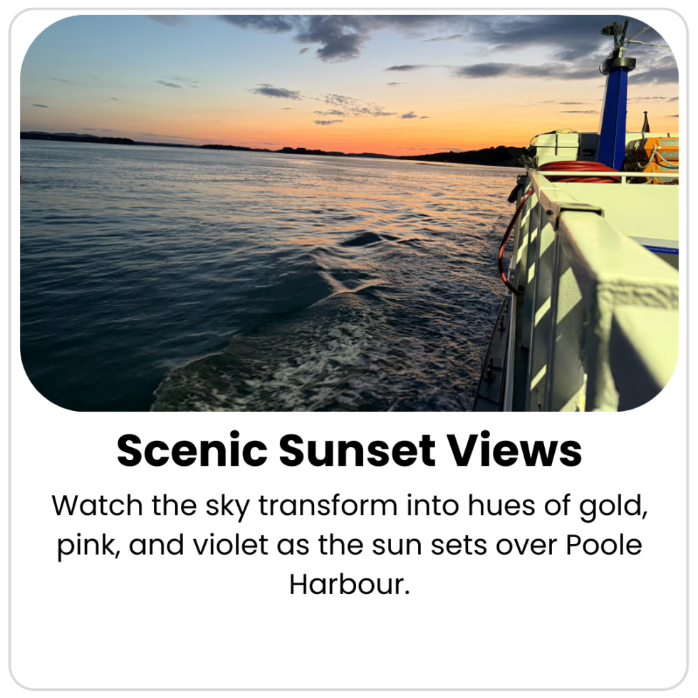 Poole Harbour Lights Cruise | Coastal Cruises Poole